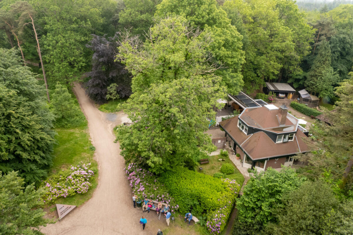 Wandelen door het Lunterse bos en boerenland - 60plusEndus